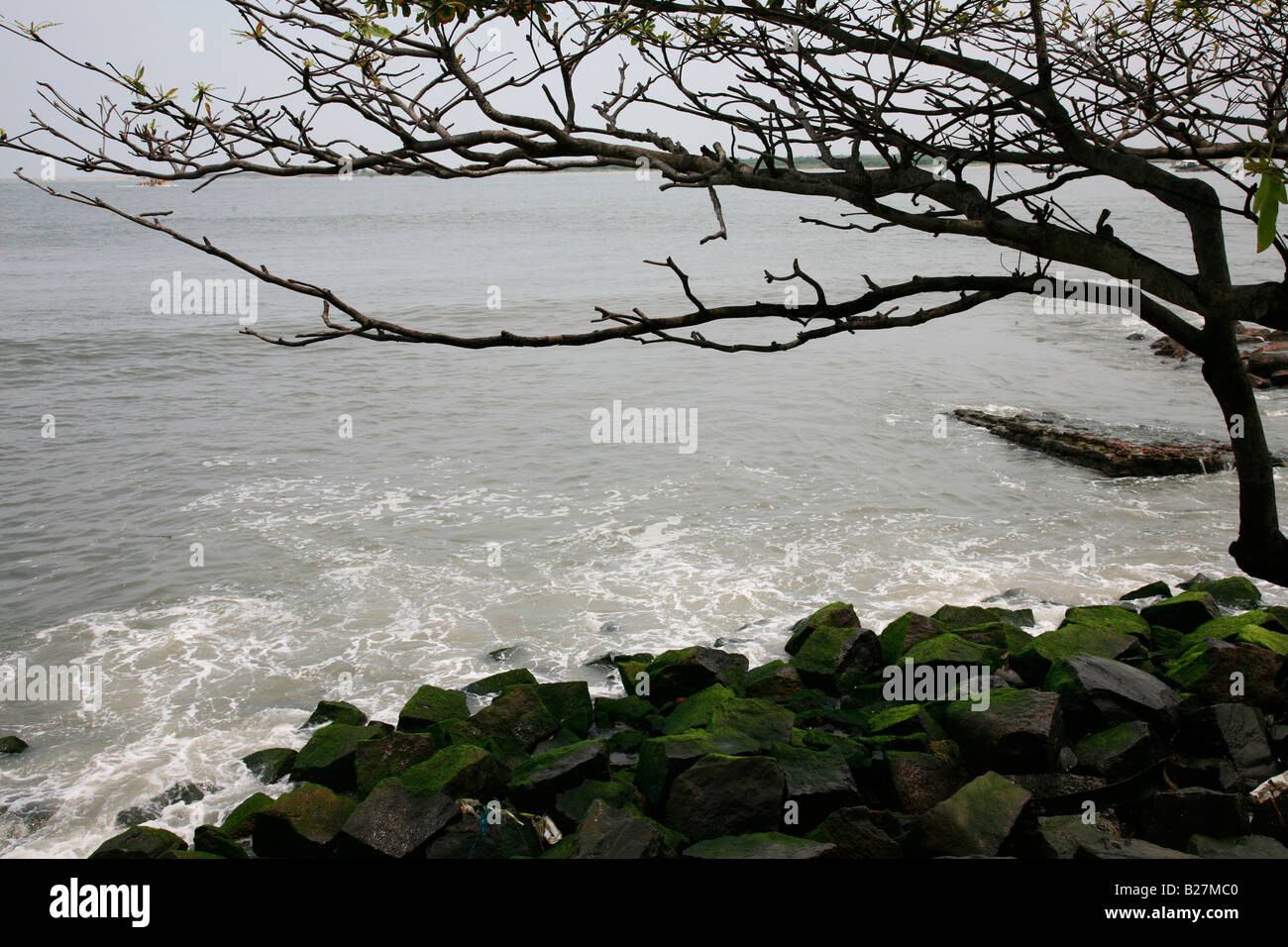 A view of fort kochi beach,kerala,India Stock Photo - Alamy