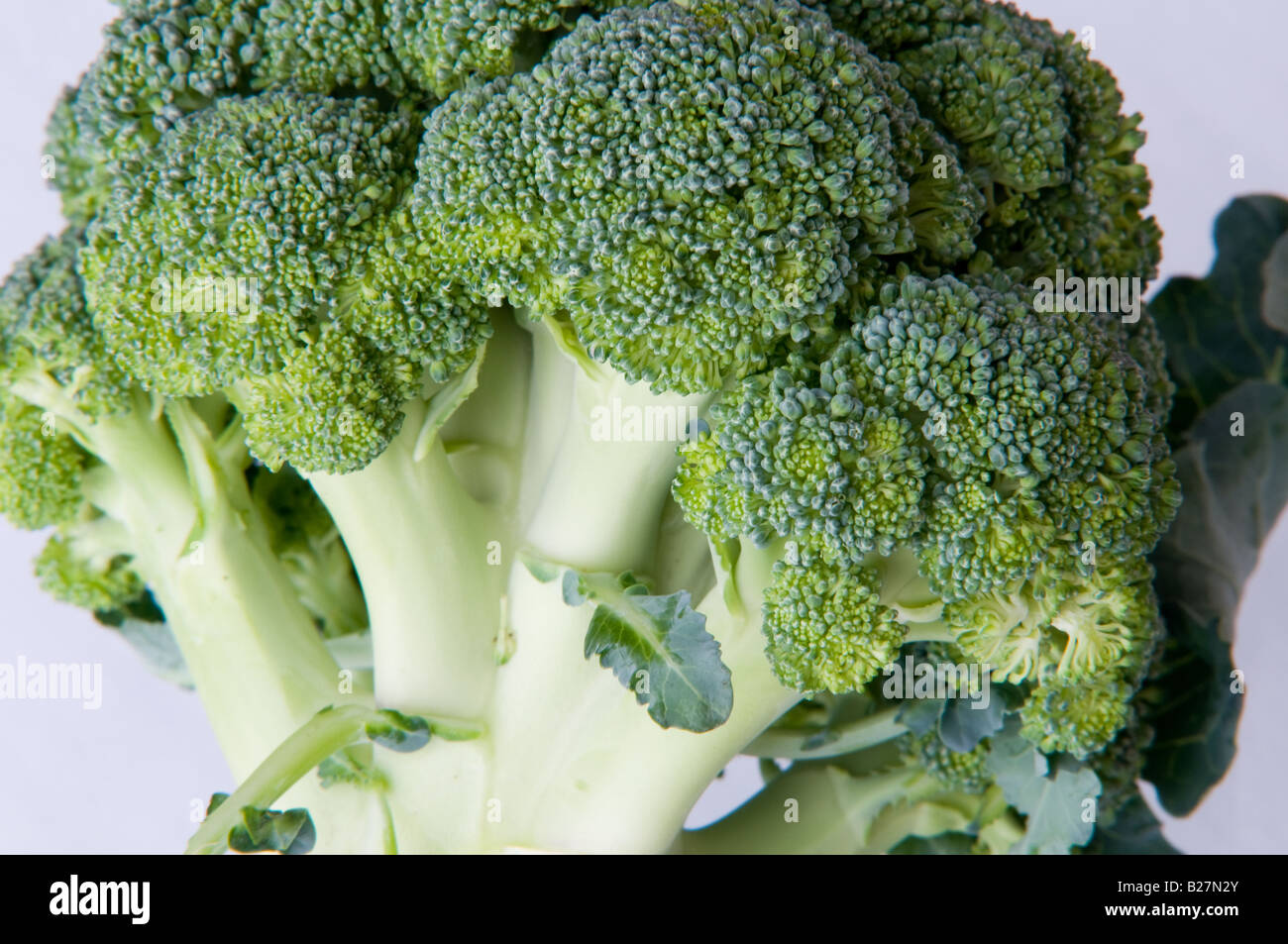 Organic vegtables hi-res stock photography and images - Alamy