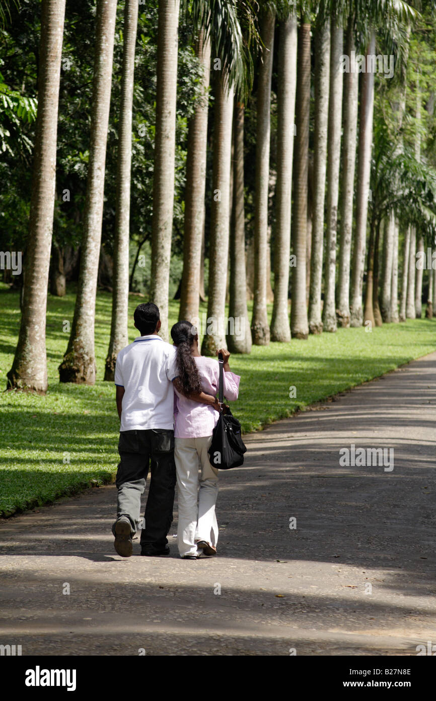 Peradeniya Botanical Gardens, Kandy, Sri Lanka Stock Photo - Alamy