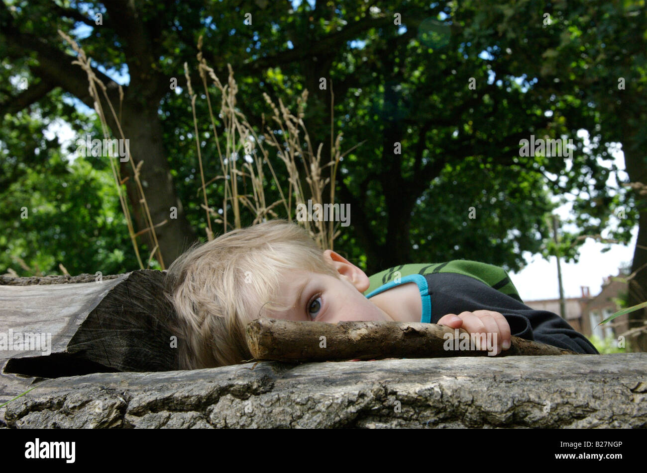 A young boy lying on an upturned tree Stock Photo - Alamy