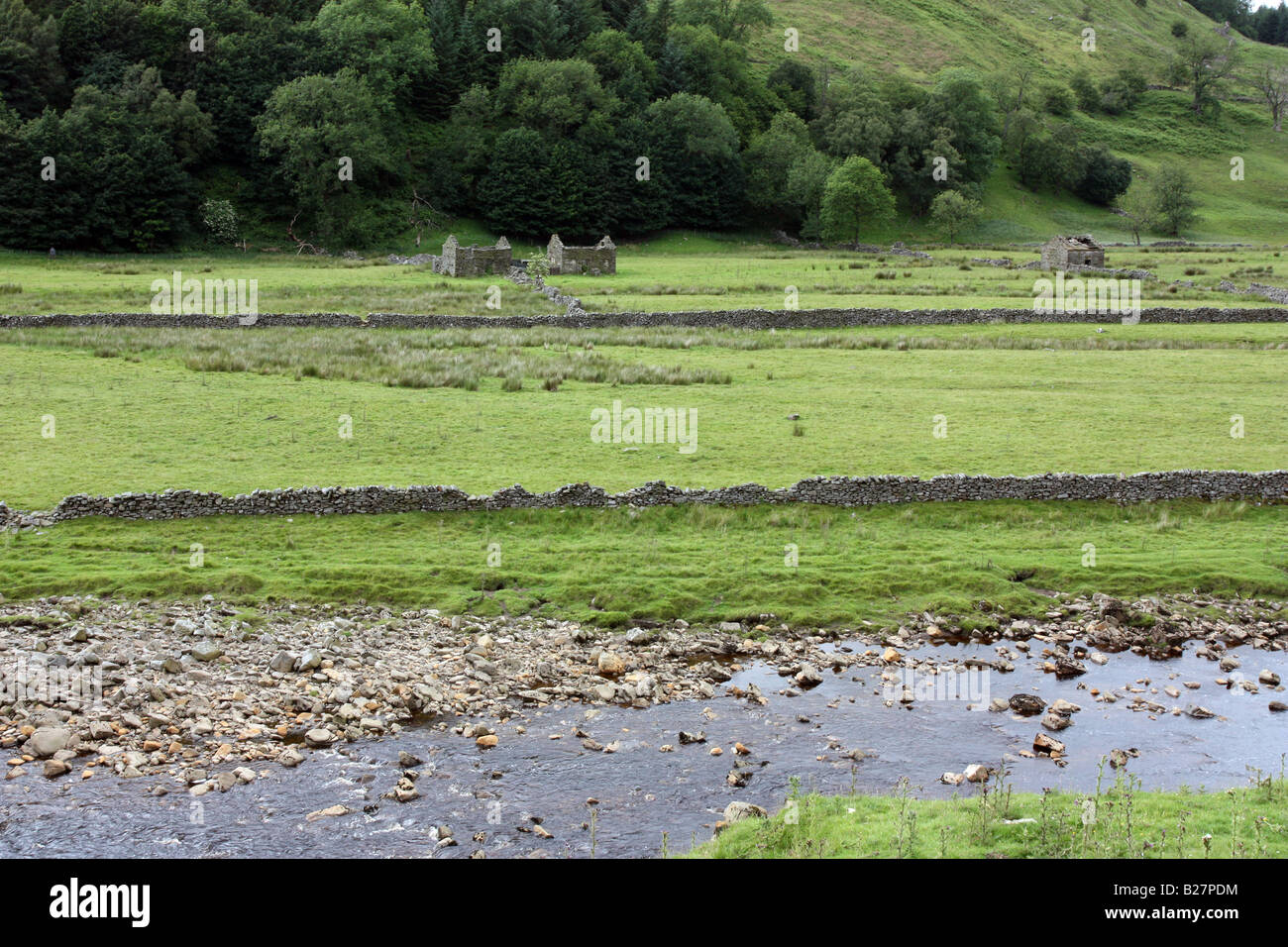 Footpath between Muker and Keld, Upper Swaledale Stock Photo - Alamy