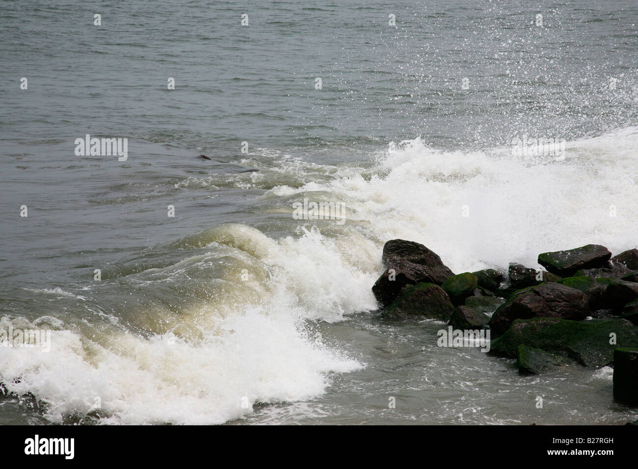 A view of Fort kochi beach,kerala,India Stock Photo - Alamy
