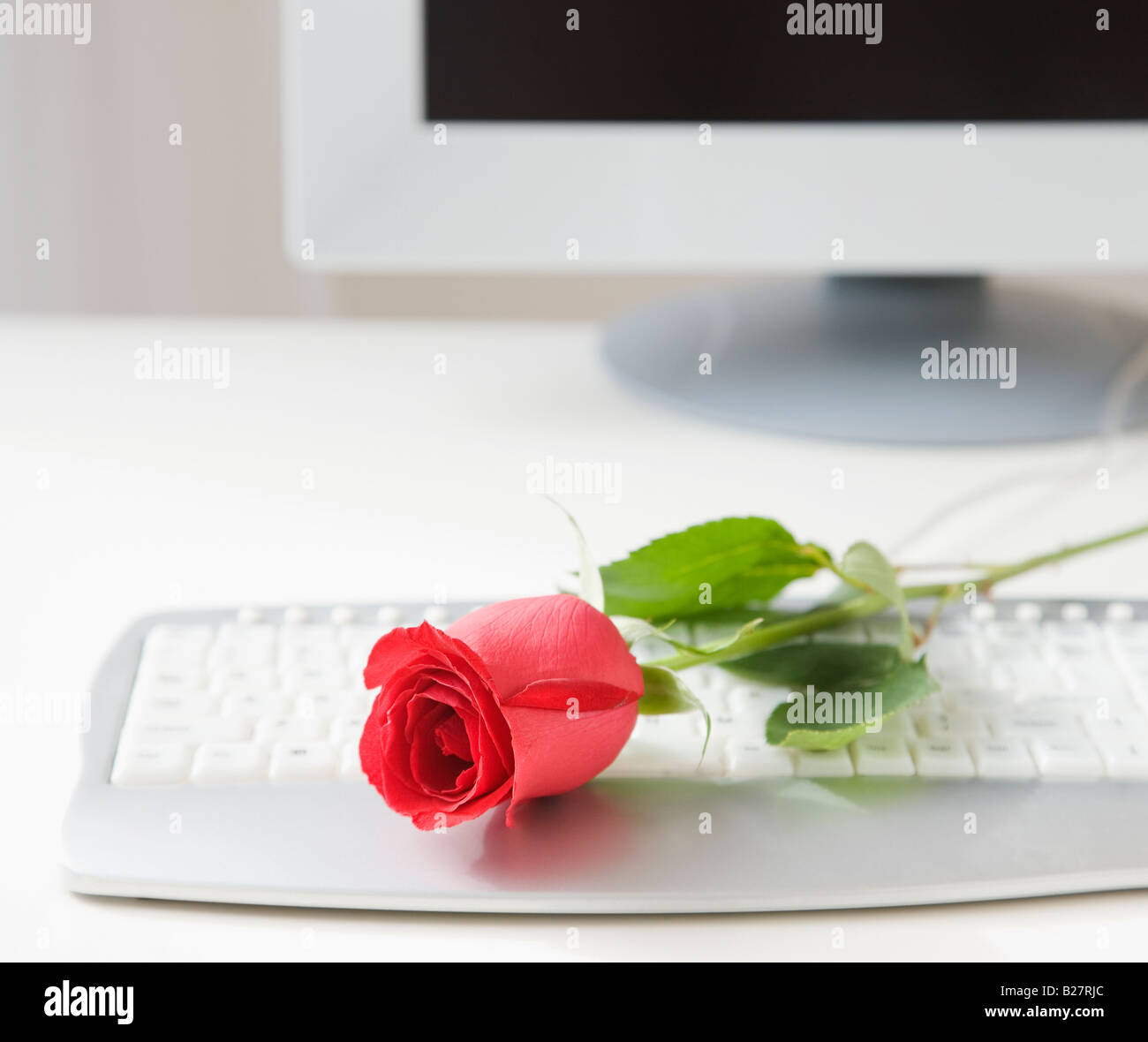 Rose keyboard hi-res stock photography and images - Alamy
