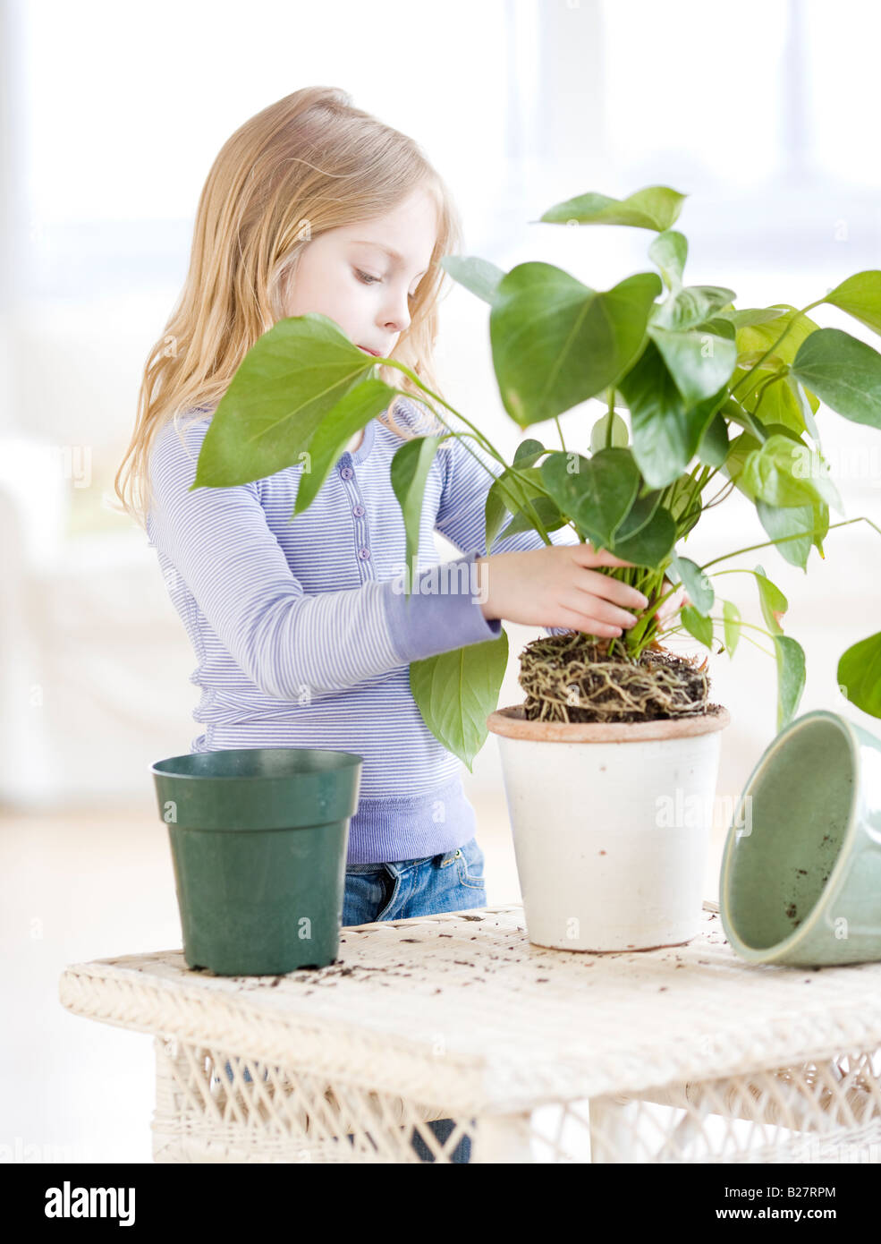 Repotting hi-res stock photography and images - Alamy