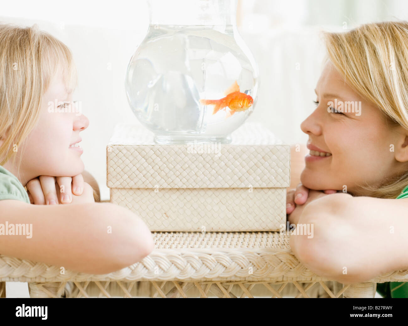 Pet fish hi-res stock photography and images - Alamy