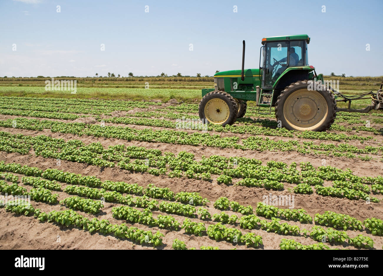 Tractor in field, Florida, United States Stock Photo - Alamy