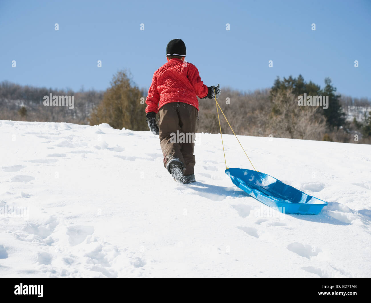 Boy pulling sled in snow Stock Photo - Alamy