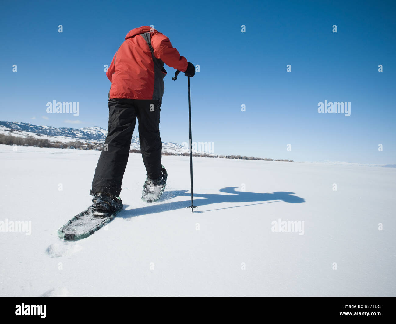Man shoeing hi-res stock photography and images - Alamy