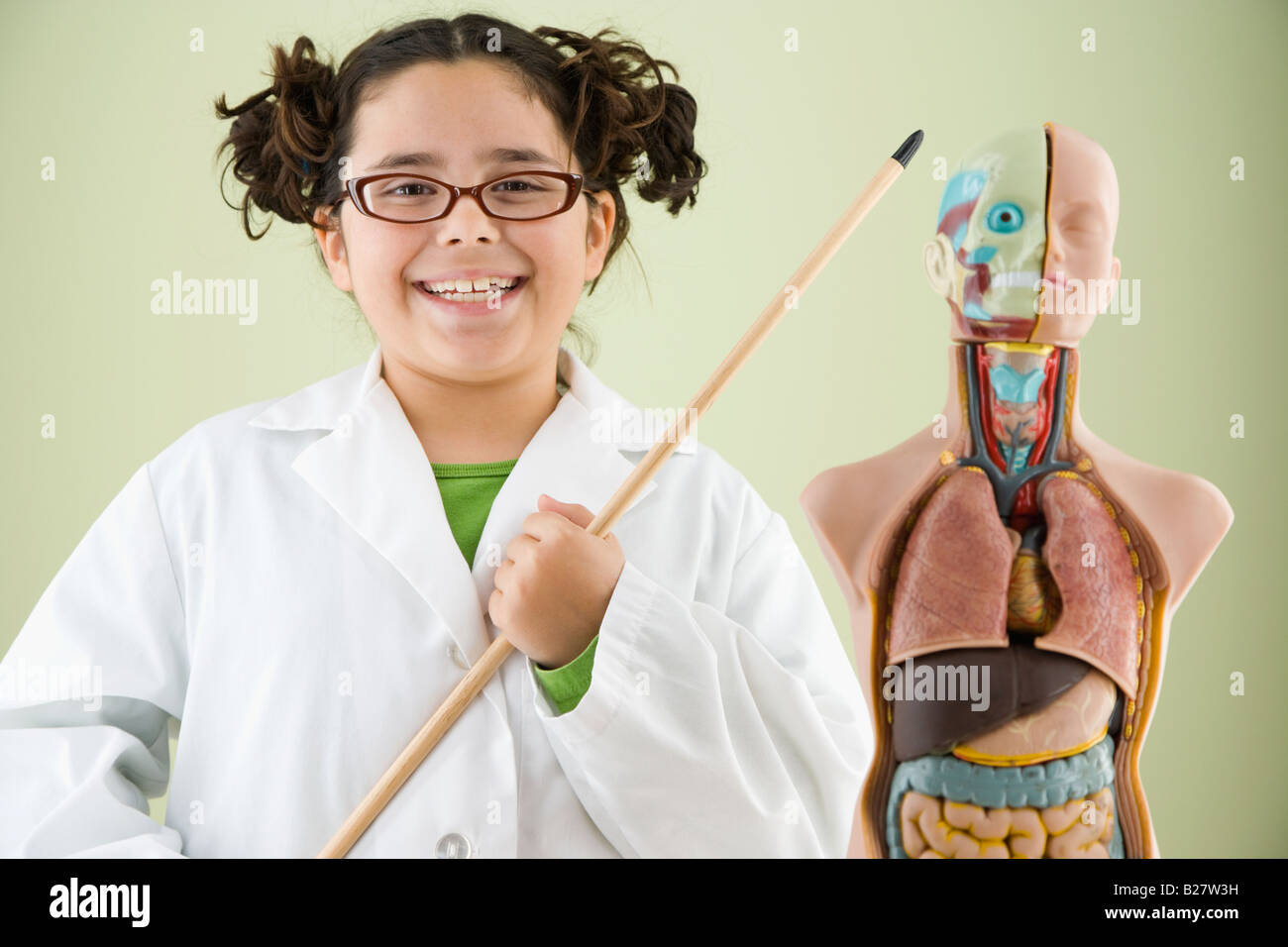 Girl pointing at human anatomy model Stock Photo - Alamy