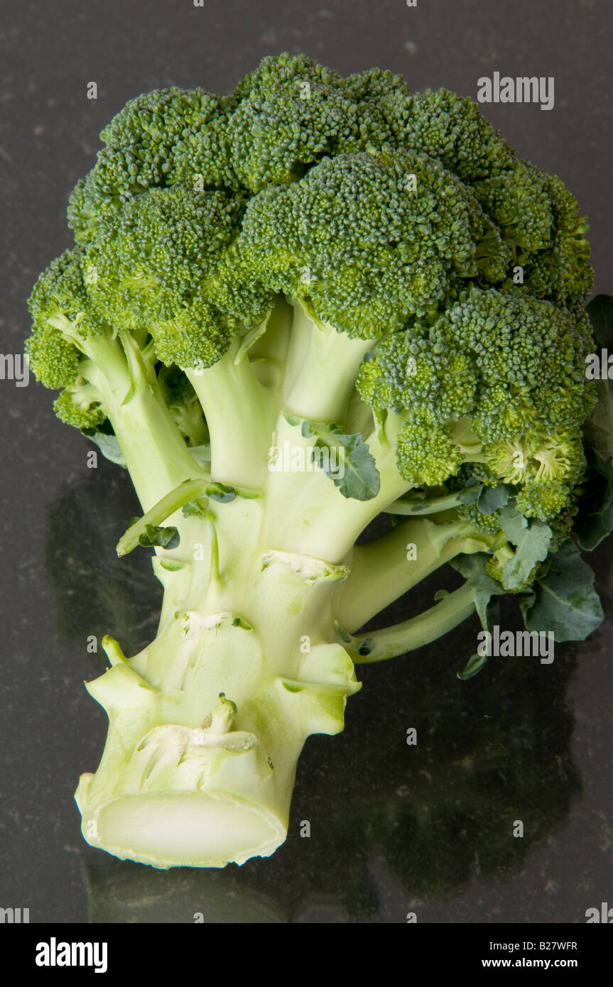 Organic Vegtables - Broccoli close-up, dark background in Studio Stock ...