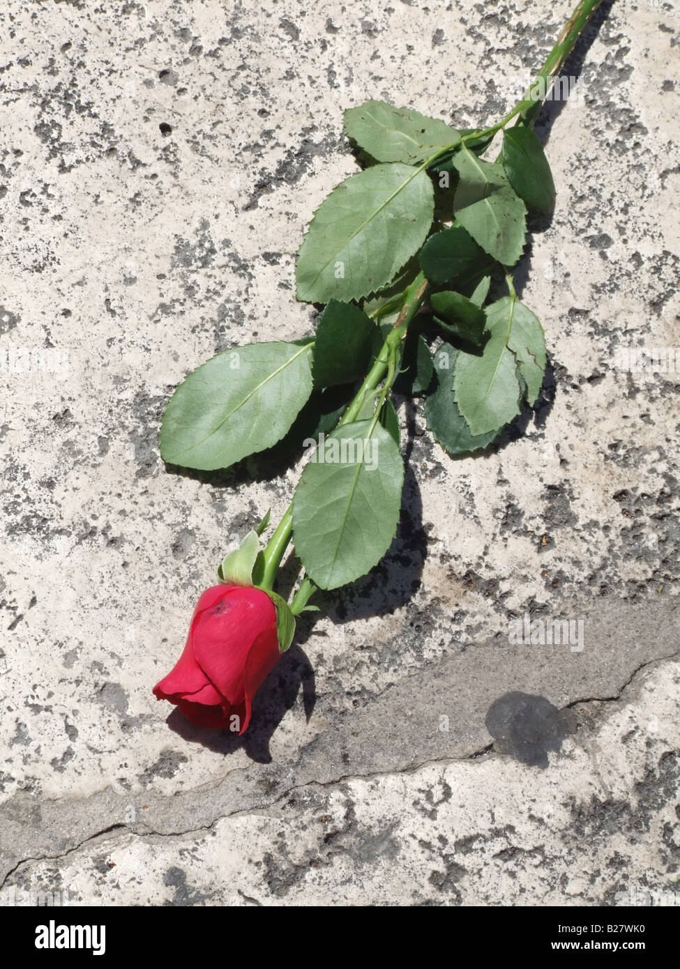 Rome forever hi-res stock photography and images - Alamy