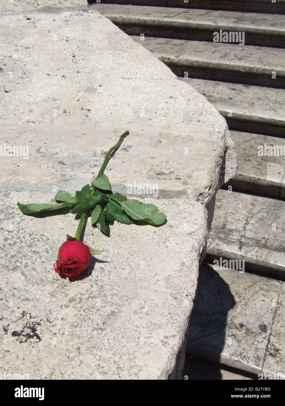 one red rose on the spanish steps in rome italy Stock Photo - Alamy