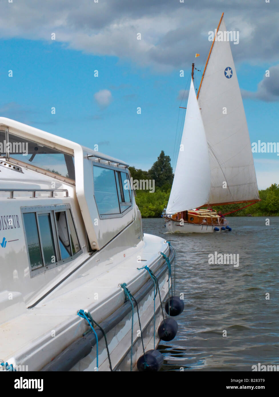 A scene of Malthouse Broad taken from Ranworth Staithe in the Norfolk ...