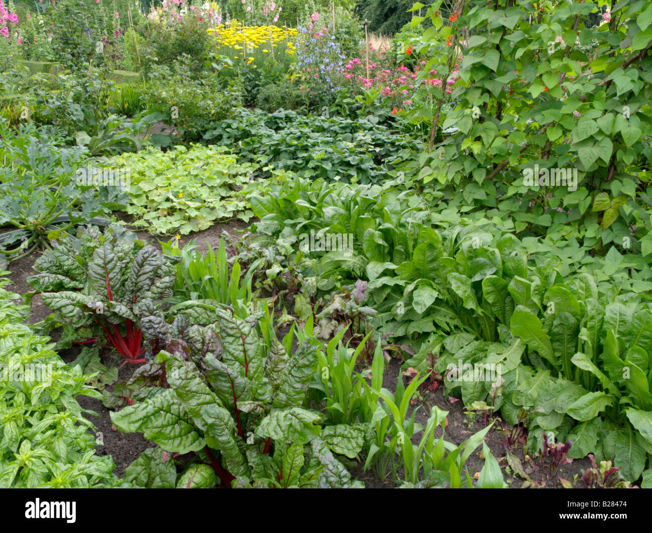 Vegetable garden hi-res stock photography and images - Alamy