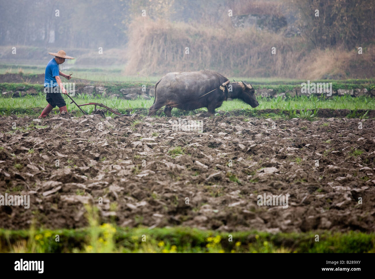 Traditional manual plough hi-res stock photography and images - Alamy