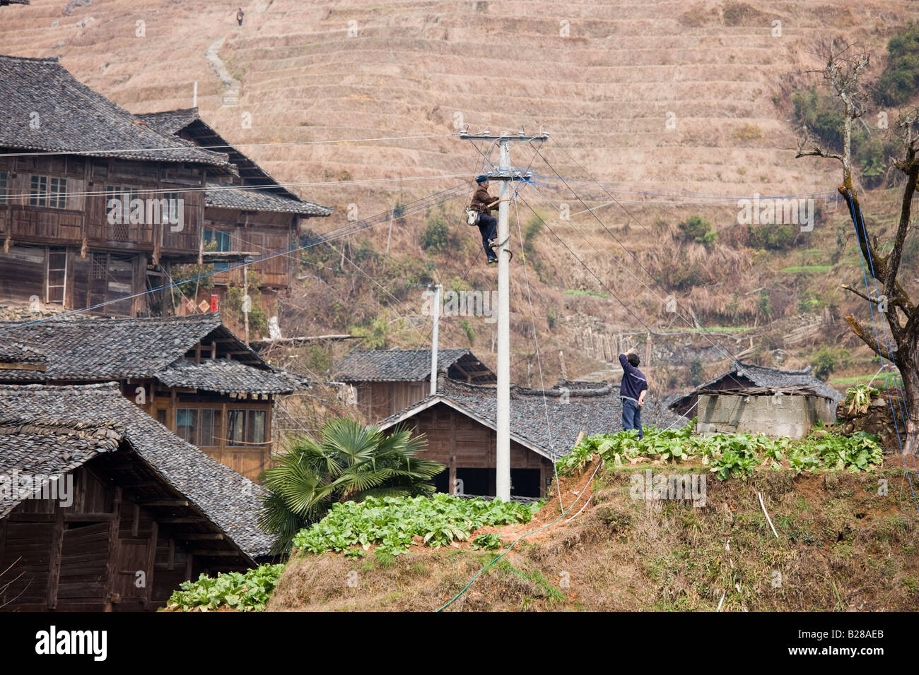 Telegraph pole being installed in the mountain village of Ping An ...