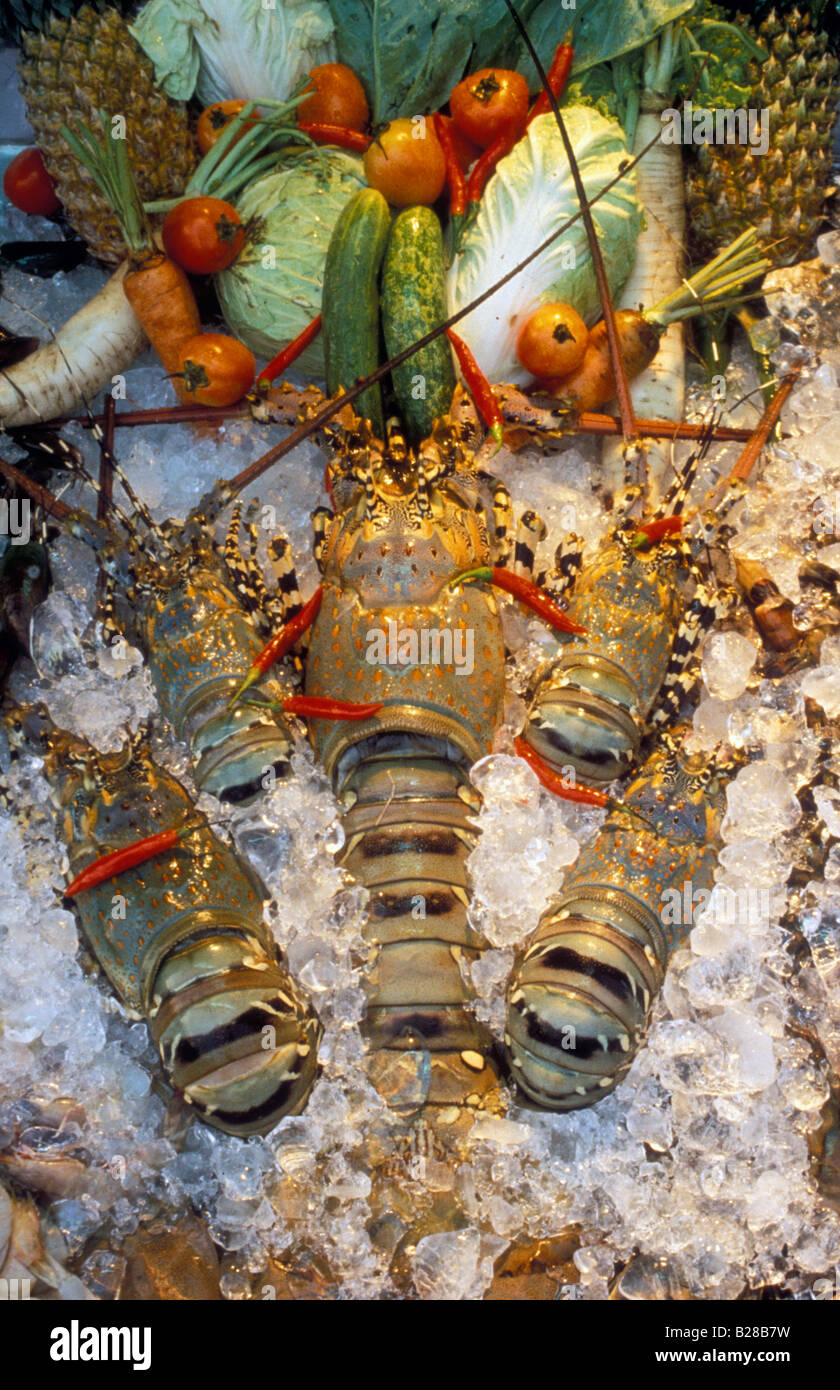 lobster seafood restaurant display patong phuket thailand Stock Photo ...