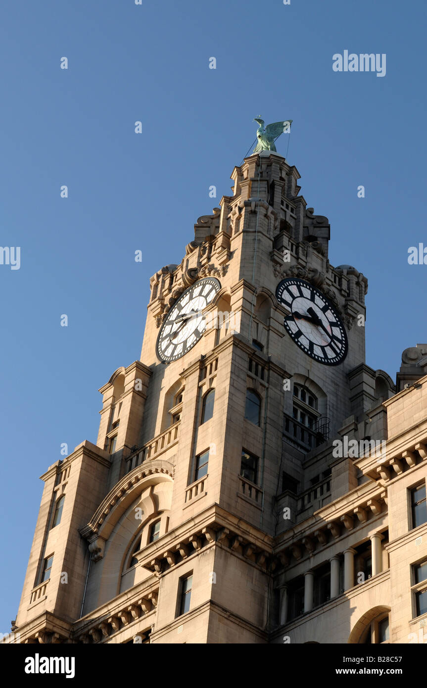 Liverpool Liver building detail Stock Photo - Alamy