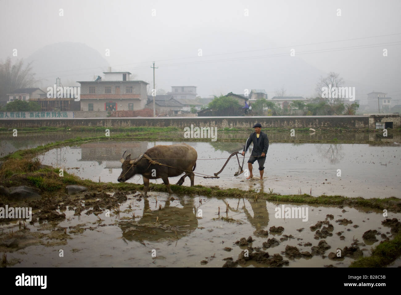Farmer with plough hi-res stock photography and images - Alamy
