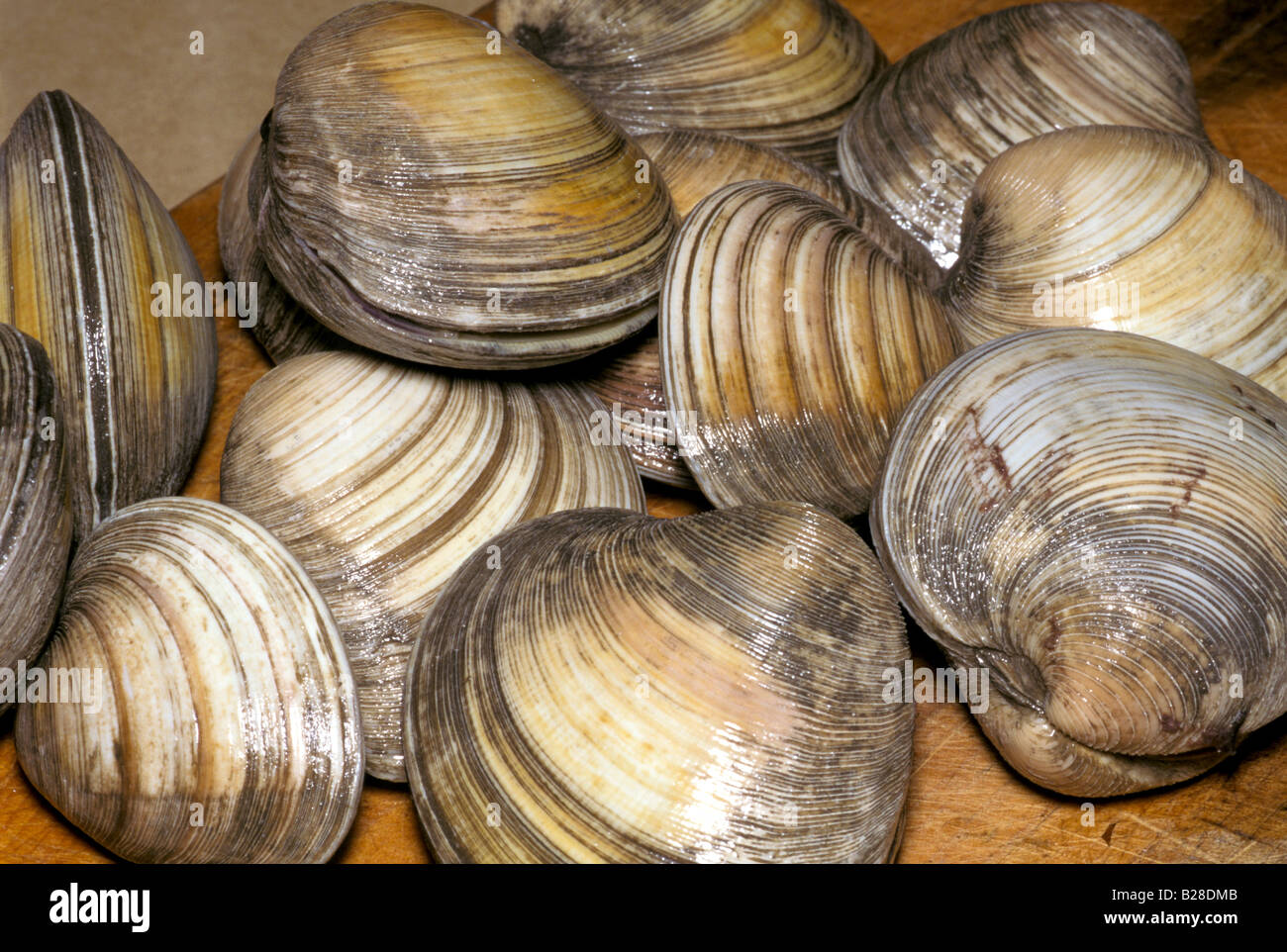 1007308 hi-res stock photography and images - Alamy