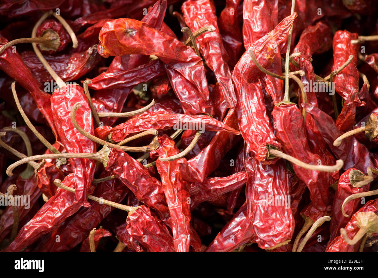 Dried by the heat of the sun hi-res stock photography and images - Alamy