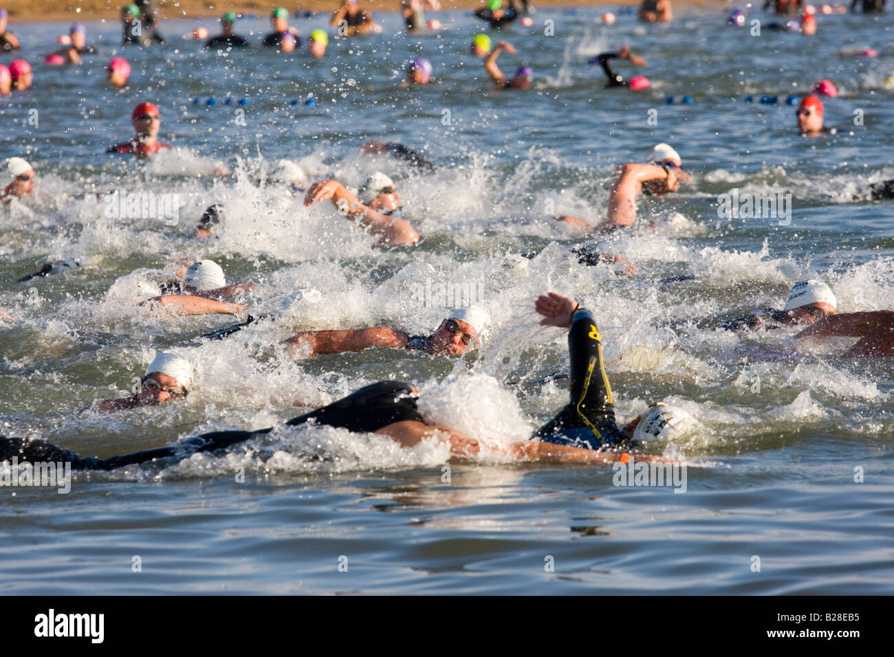 Triathletes swim hi-res stock photography and images - Alamy
