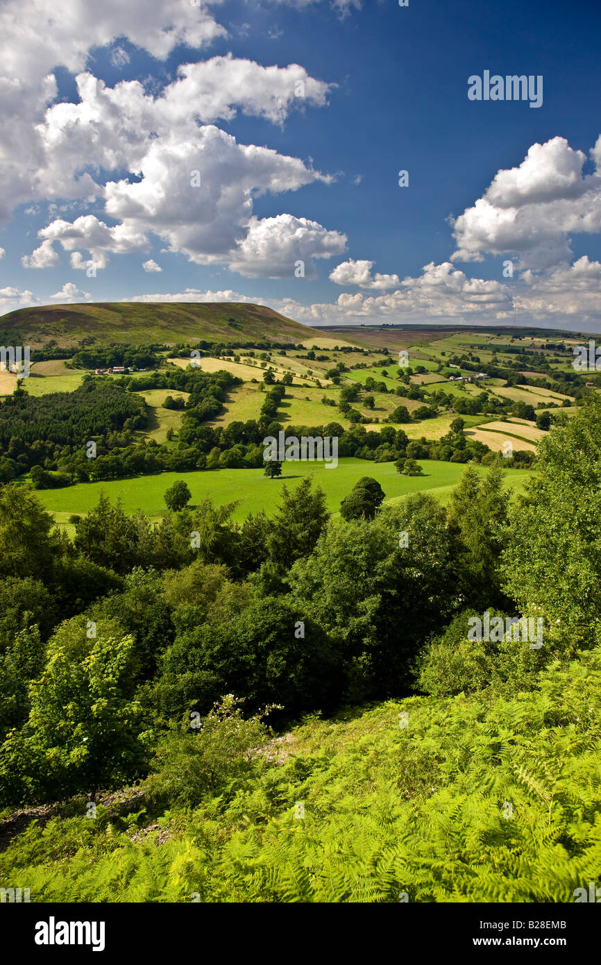 Ryedale High Resolution Stock Photography and Images - Alamy