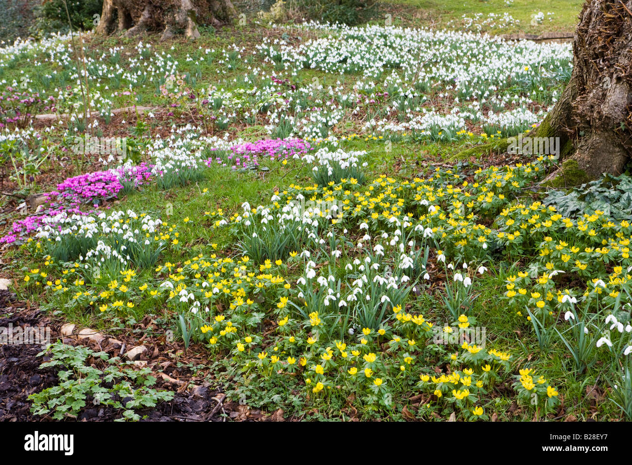 Cotswold garden hi-res stock photography and images - Alamy