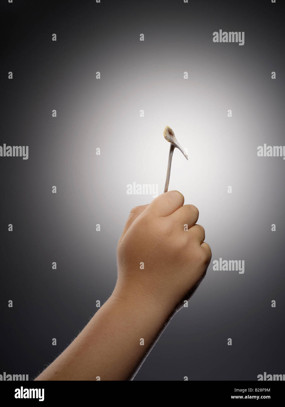 Hand holding wishbone hi-res stock photography and images - Alamy