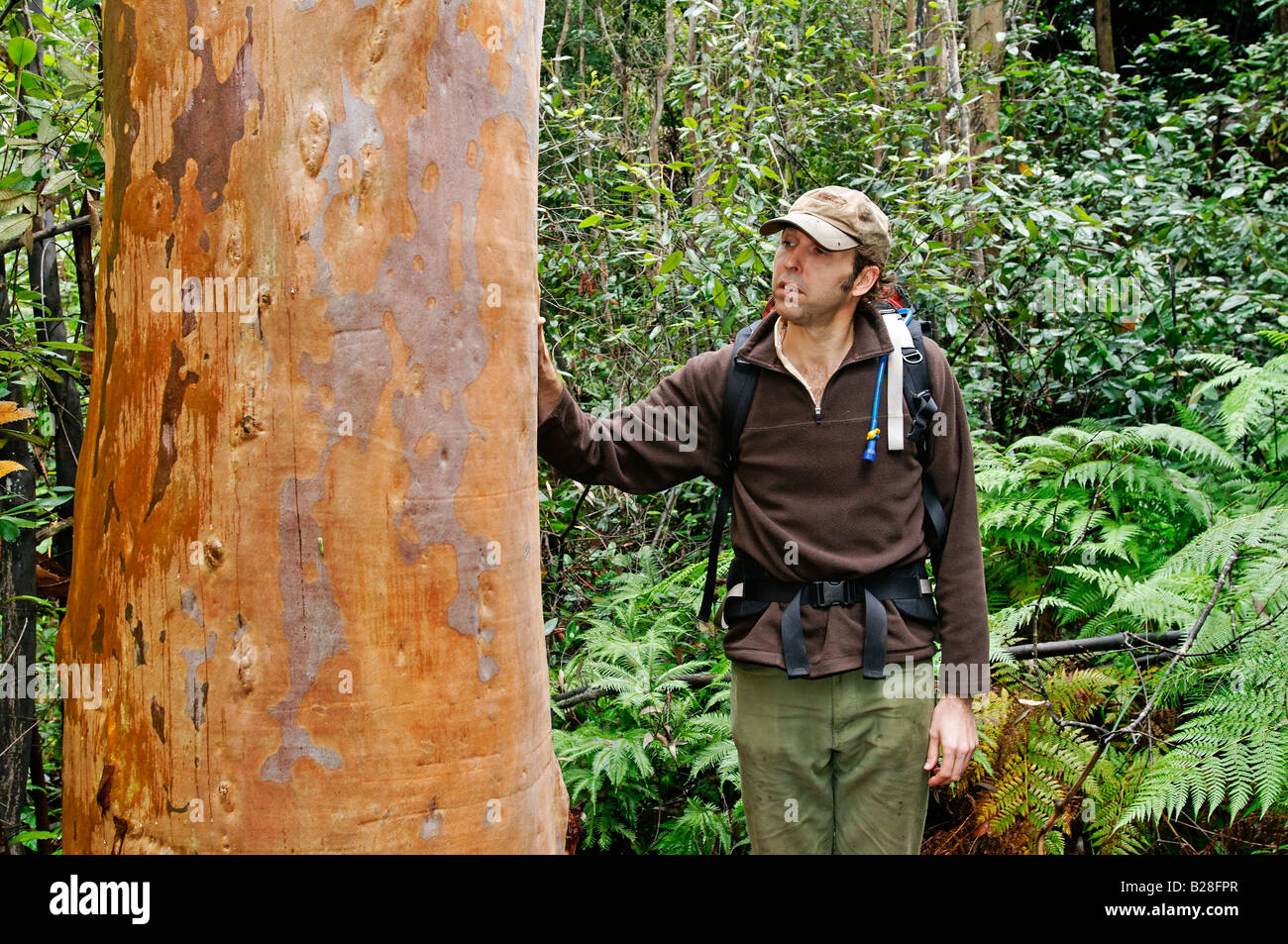 Aboriginal tourguide during a guided tour following a songline, Blue ...