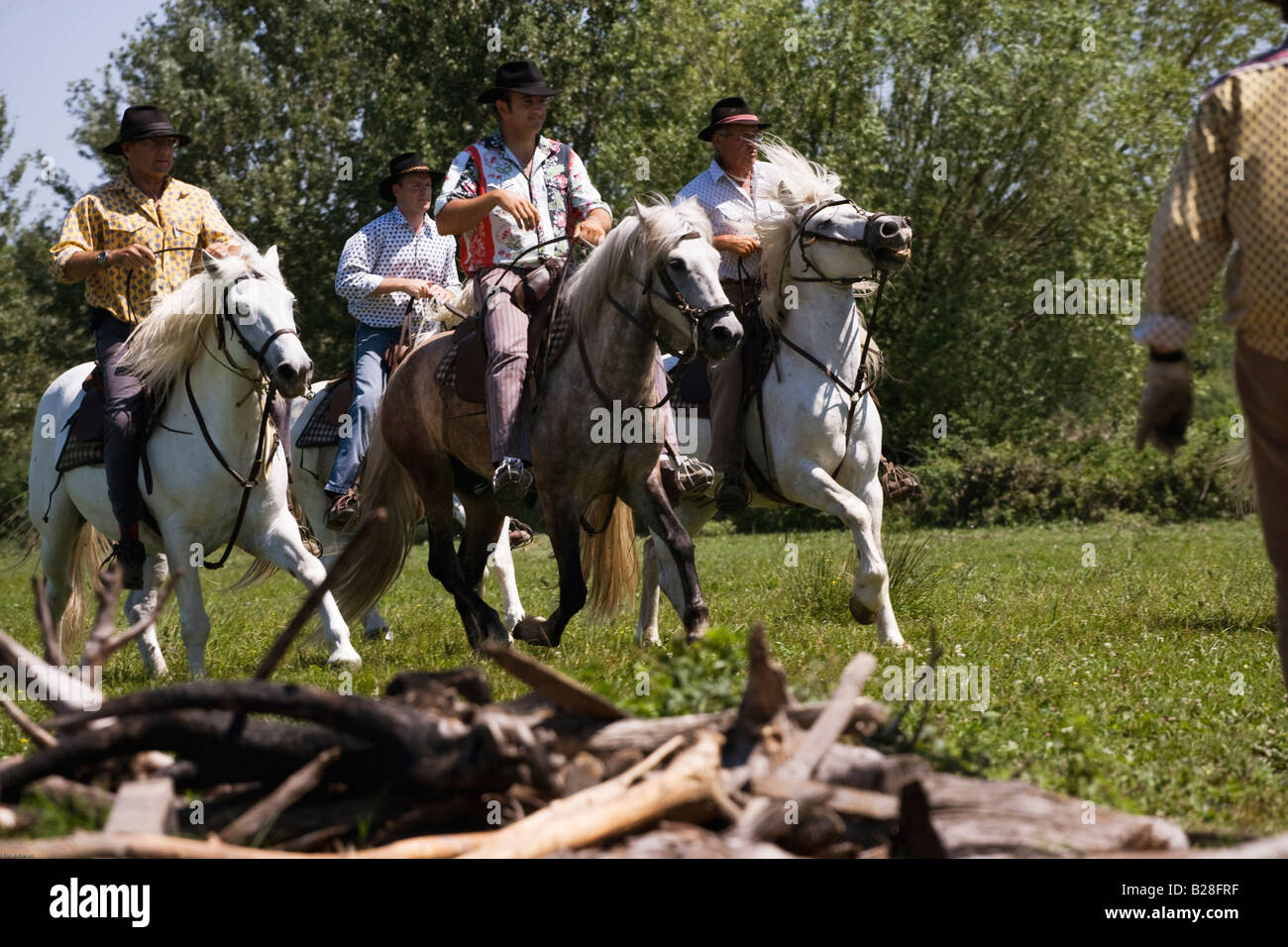 French cowboy gardian horse hi-res stock photography and images - Alamy