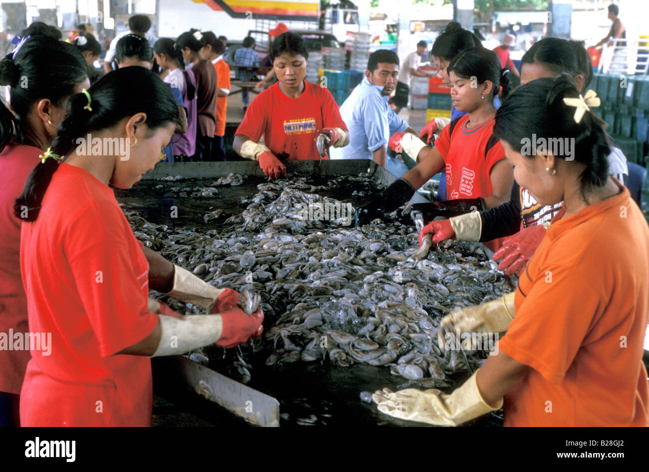 fish workers phuket harbour thailand Stock Photo - Alamy