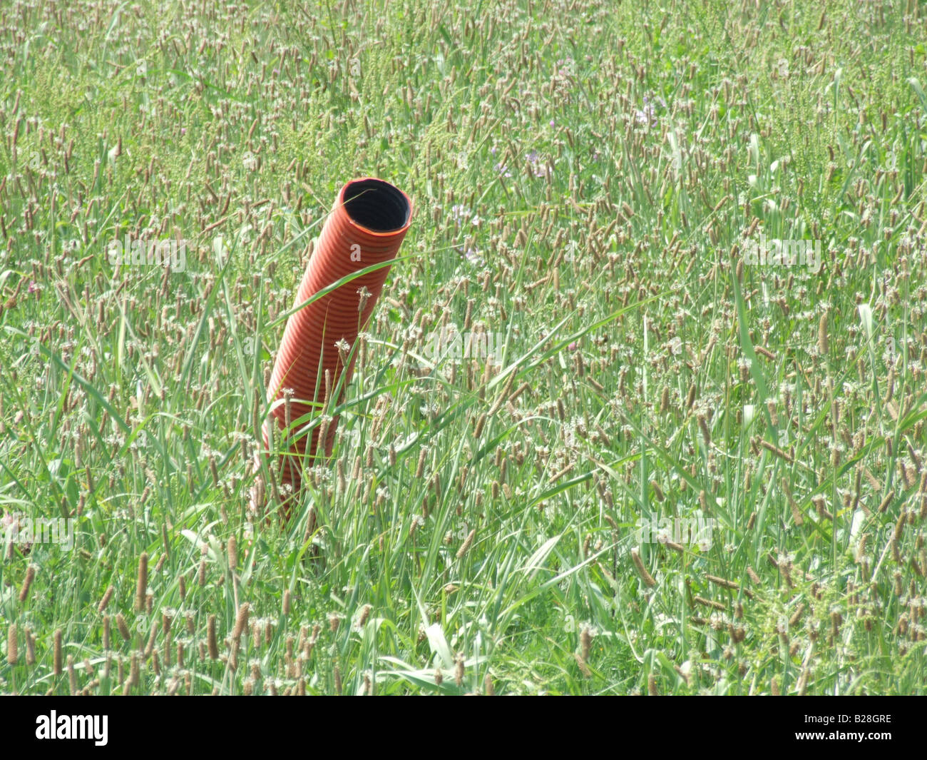 one red plastic tube sticking out of grass field Stock Photo - Alamy
