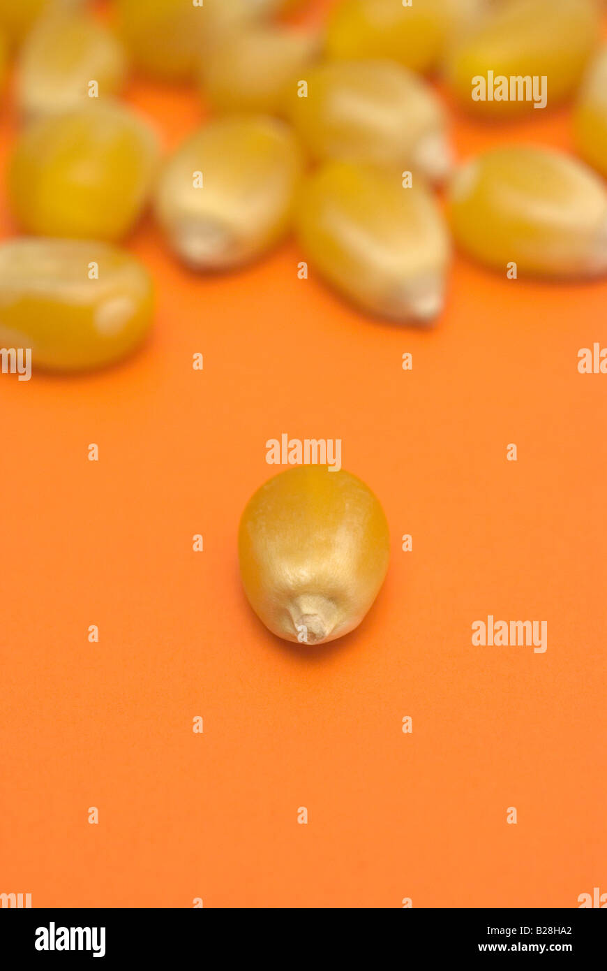 Clone food still life indoor hi-res stock photography and images - Alamy