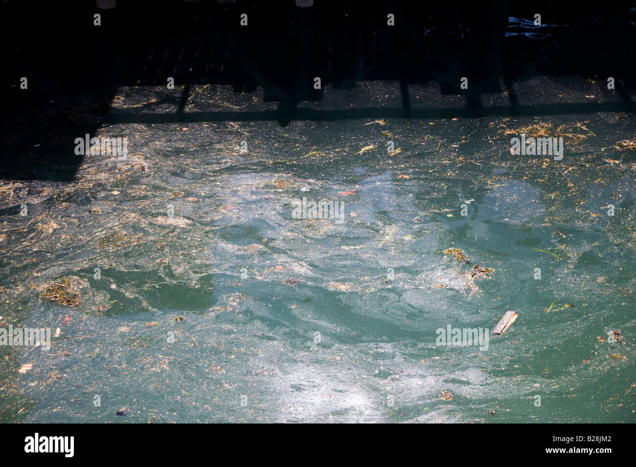 Polluted Ocean Water High Resolution Stock Photography and Images - Alamy