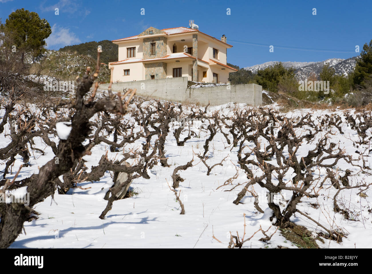 Cyprus farming hi-res stock photography and images - Alamy