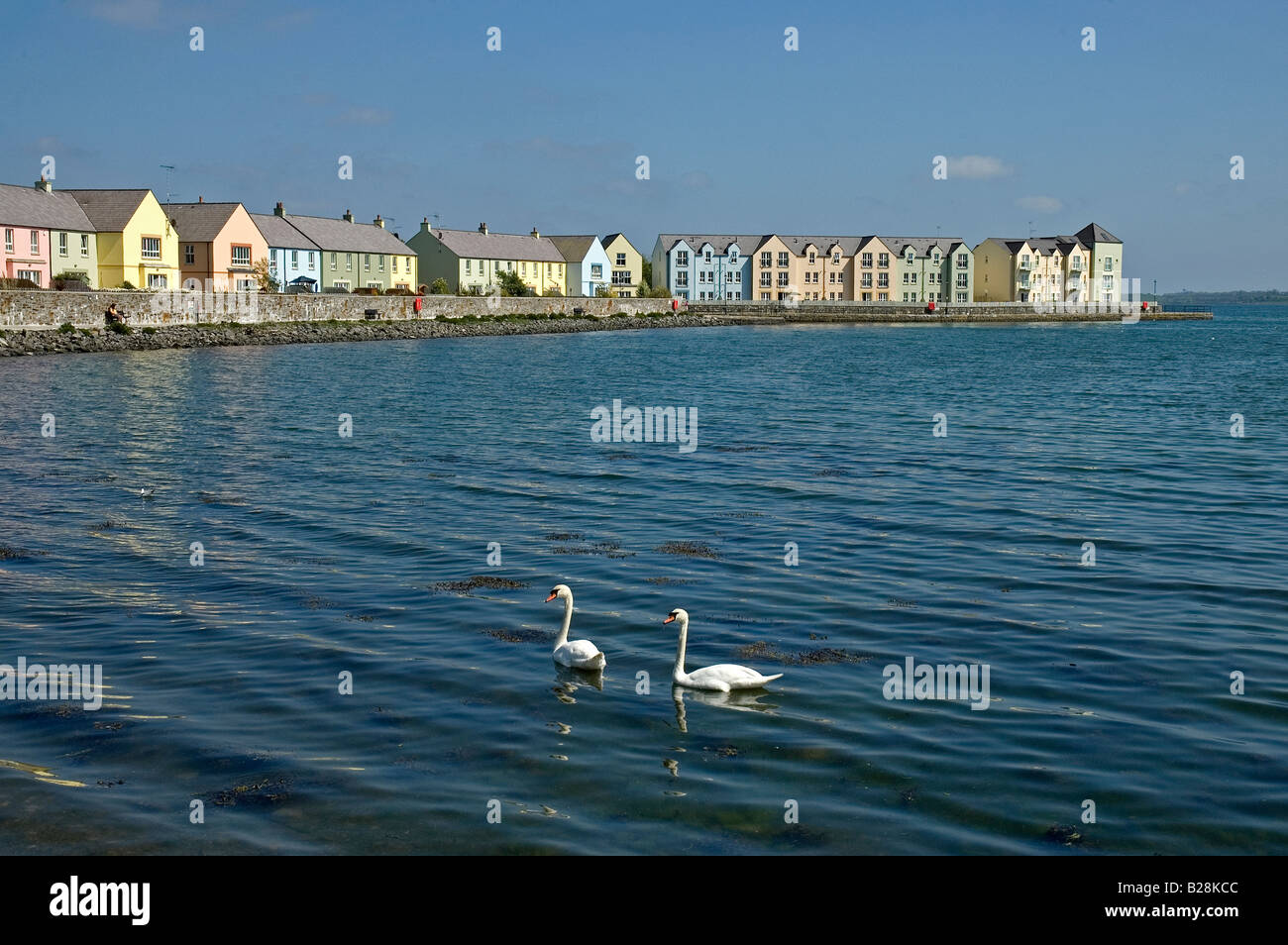 Killyleagh Water Front Strangford Lough Northern Ireland Stock Photo ...