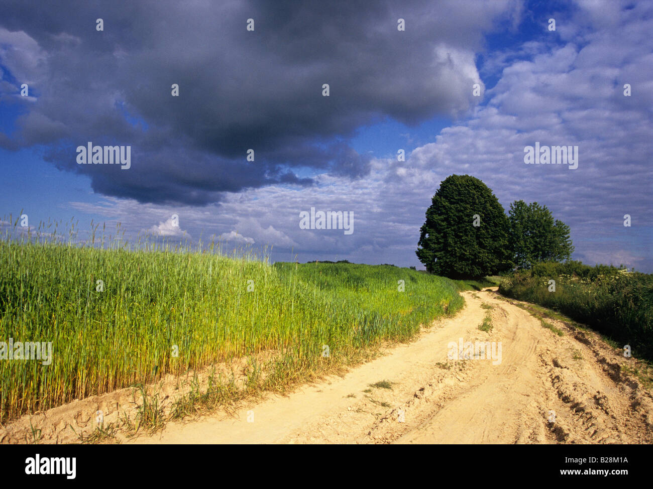 Loess rock soil road field clouded sky Stock Photo - Alamy