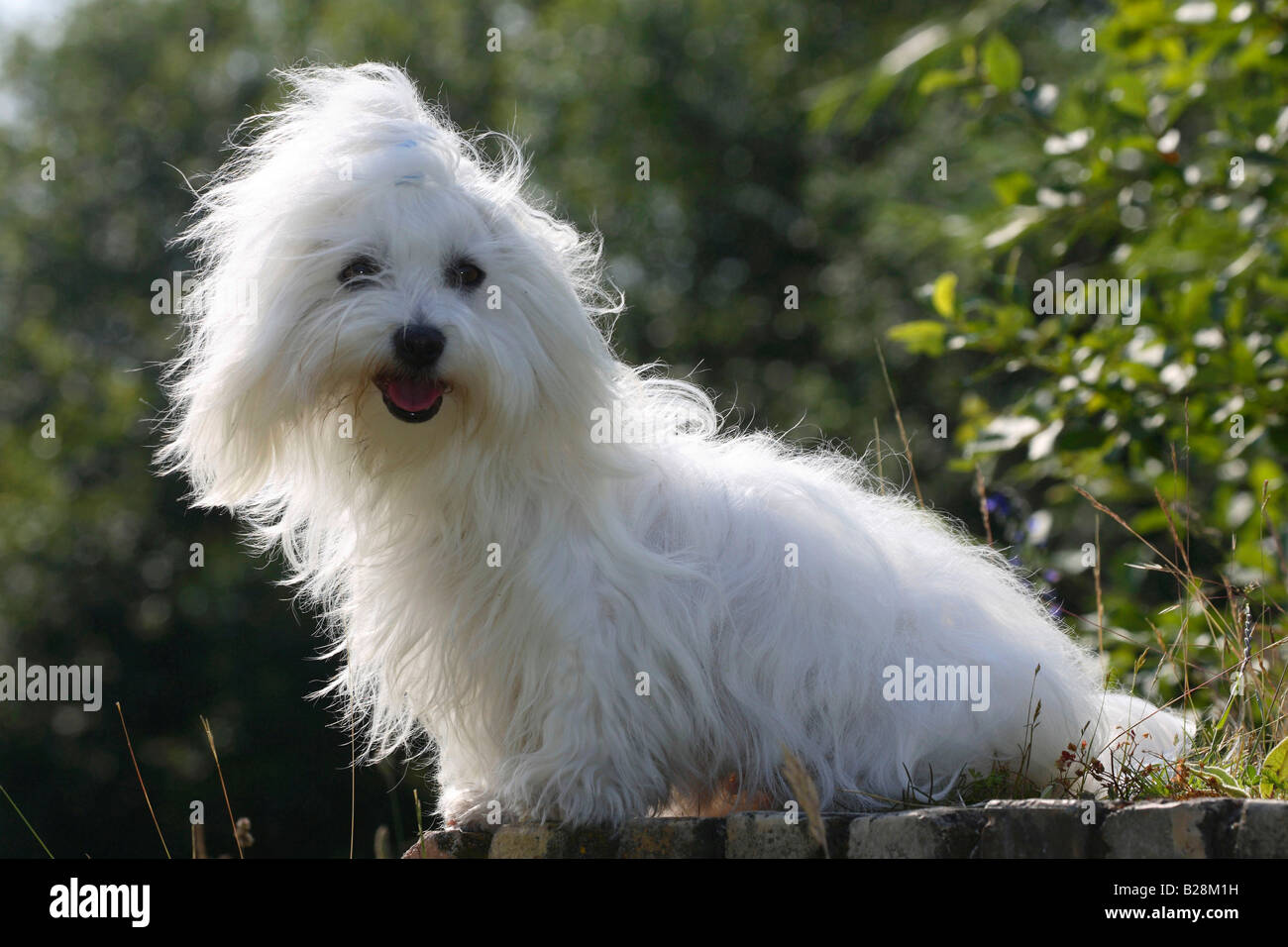 Back side horizontal hi-res stock photography and images - Alamy