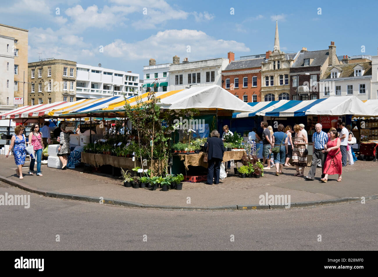 People shopping in cambridge market hi-res stock photography and images ...