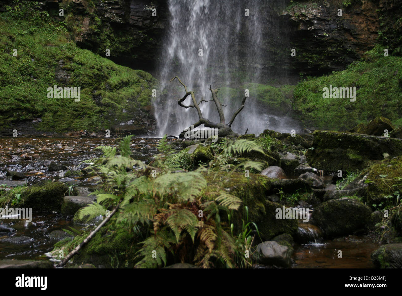 UK Wales Monmouthshire Henrhyd Waterfalls at Brecon Beacons National ...