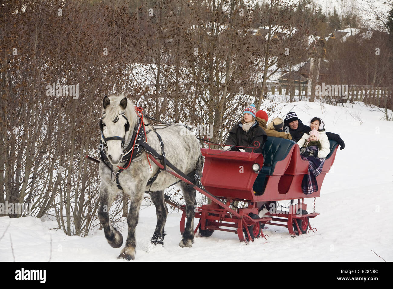 Family enjoys a sleigh ride Whistler British Columbia Canada Stock ...