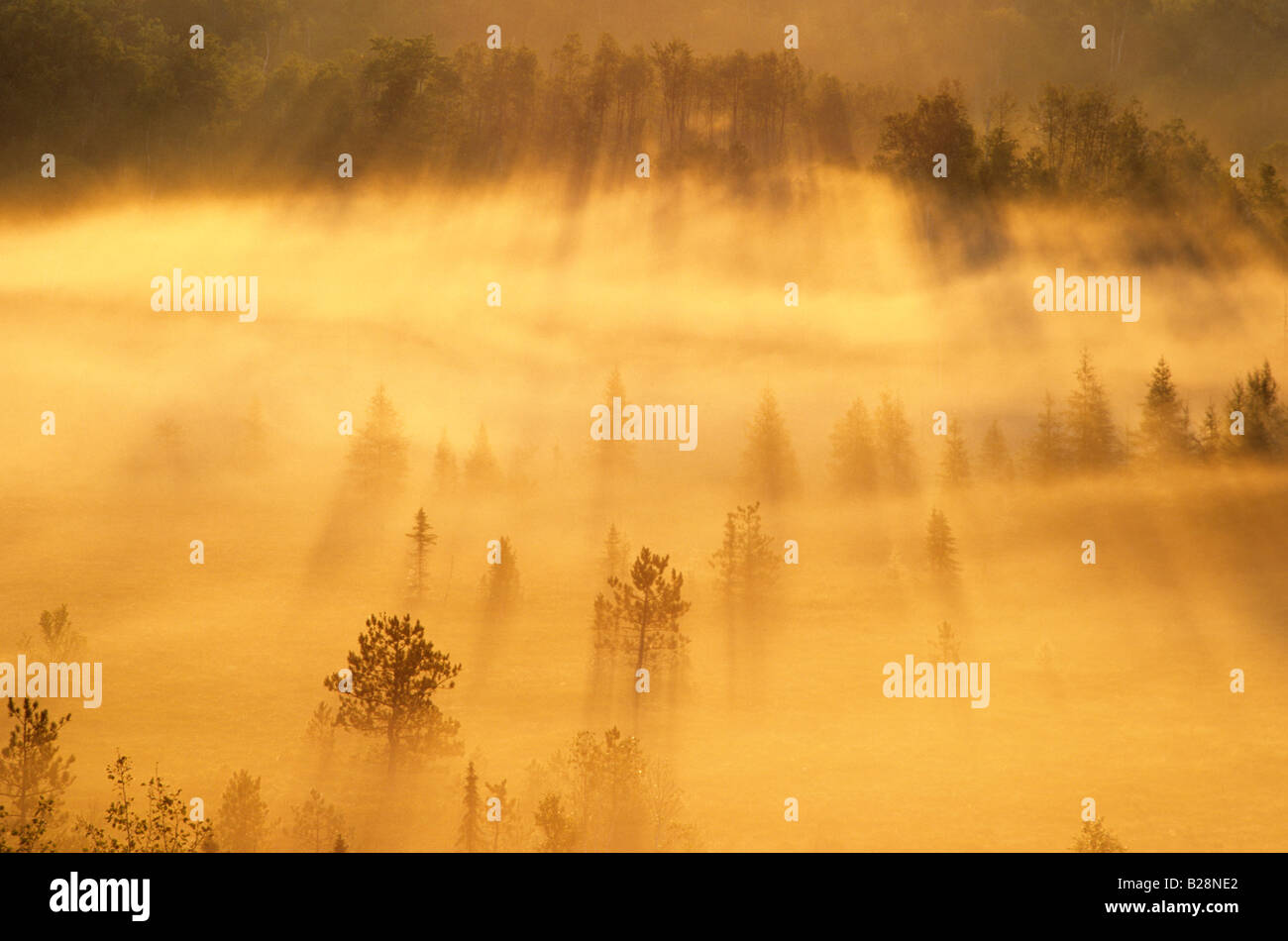 Shadows and fog hi-res stock photography and images - Alamy