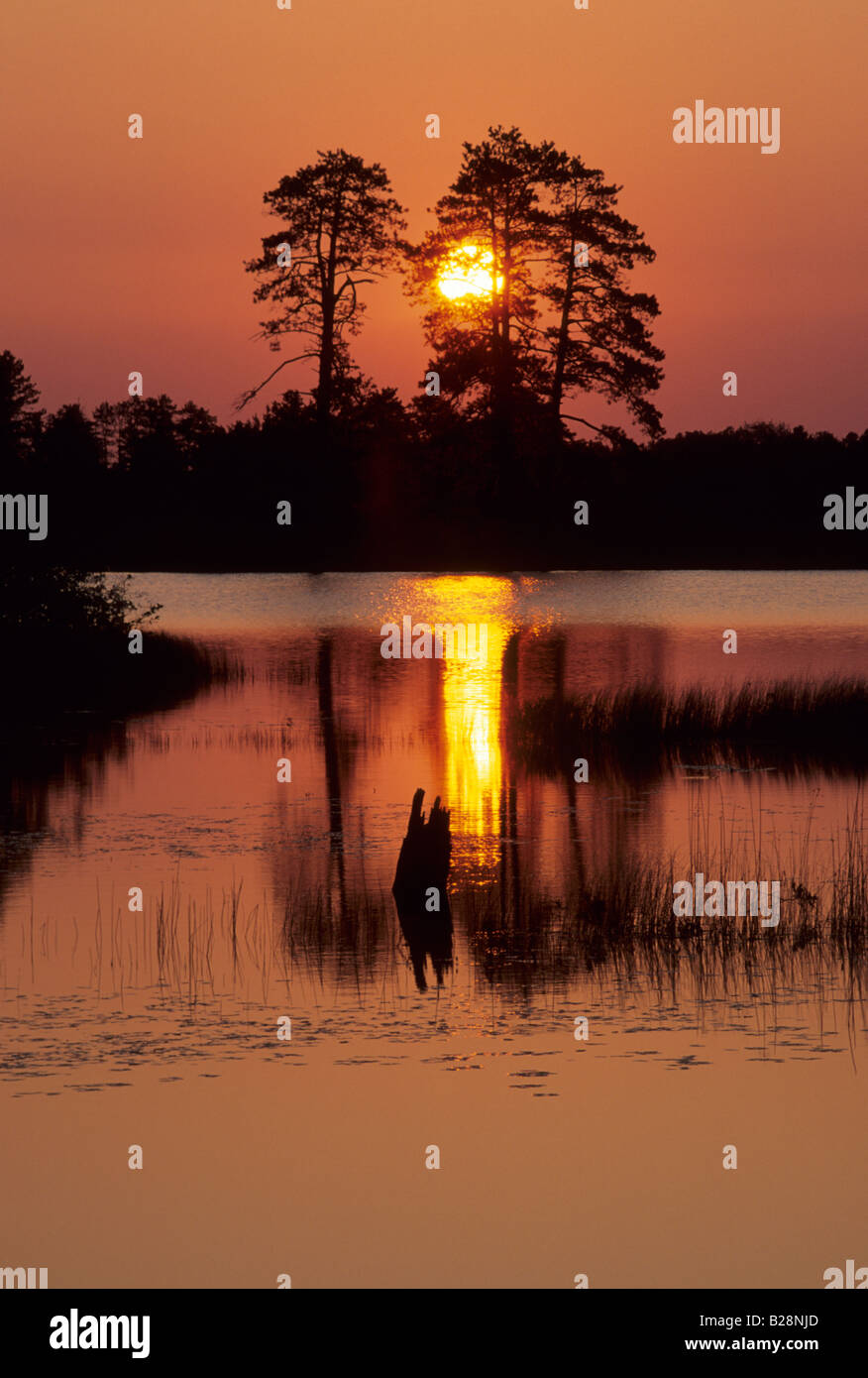 Seney national wildlife refuge hi-res stock photography and images - Alamy