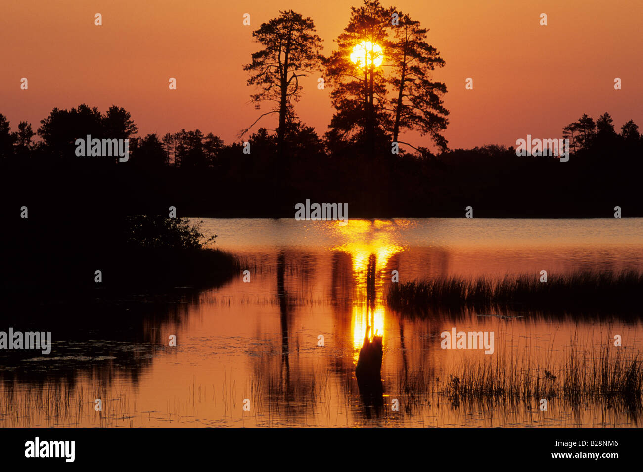 Setting sun reflected in waters of Seney National Wildlife Refuge ...
