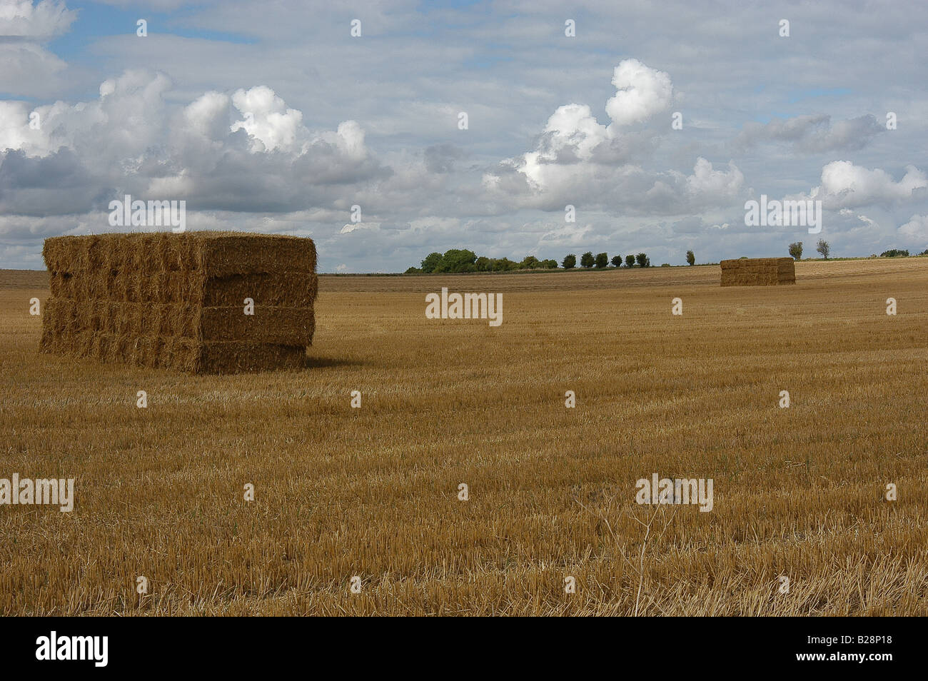 Bales awaiting collection hi-res stock photography and images - Alamy