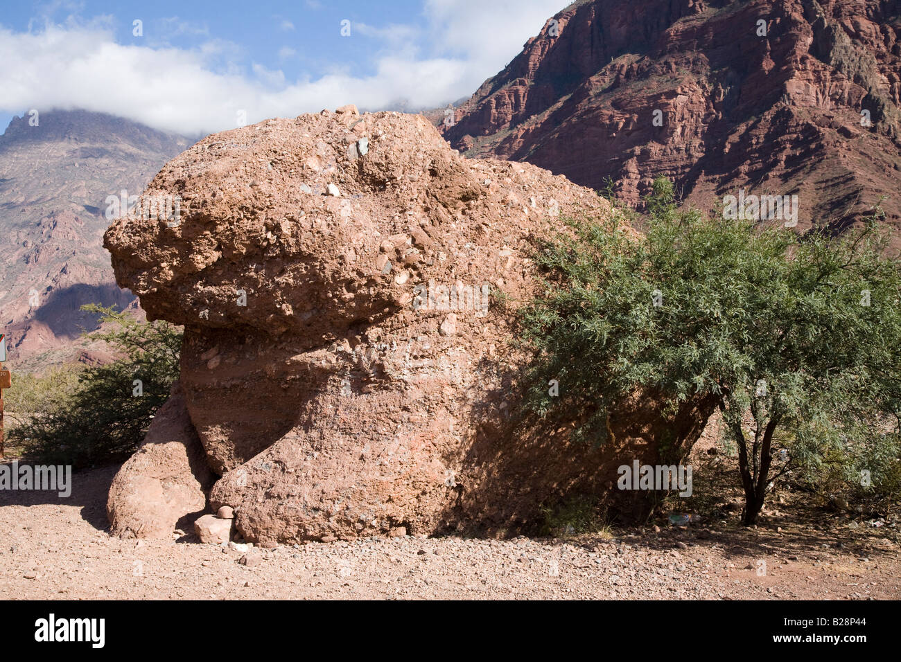 El Sapo, Salta Region, Argentina Stock Photo - Alamy