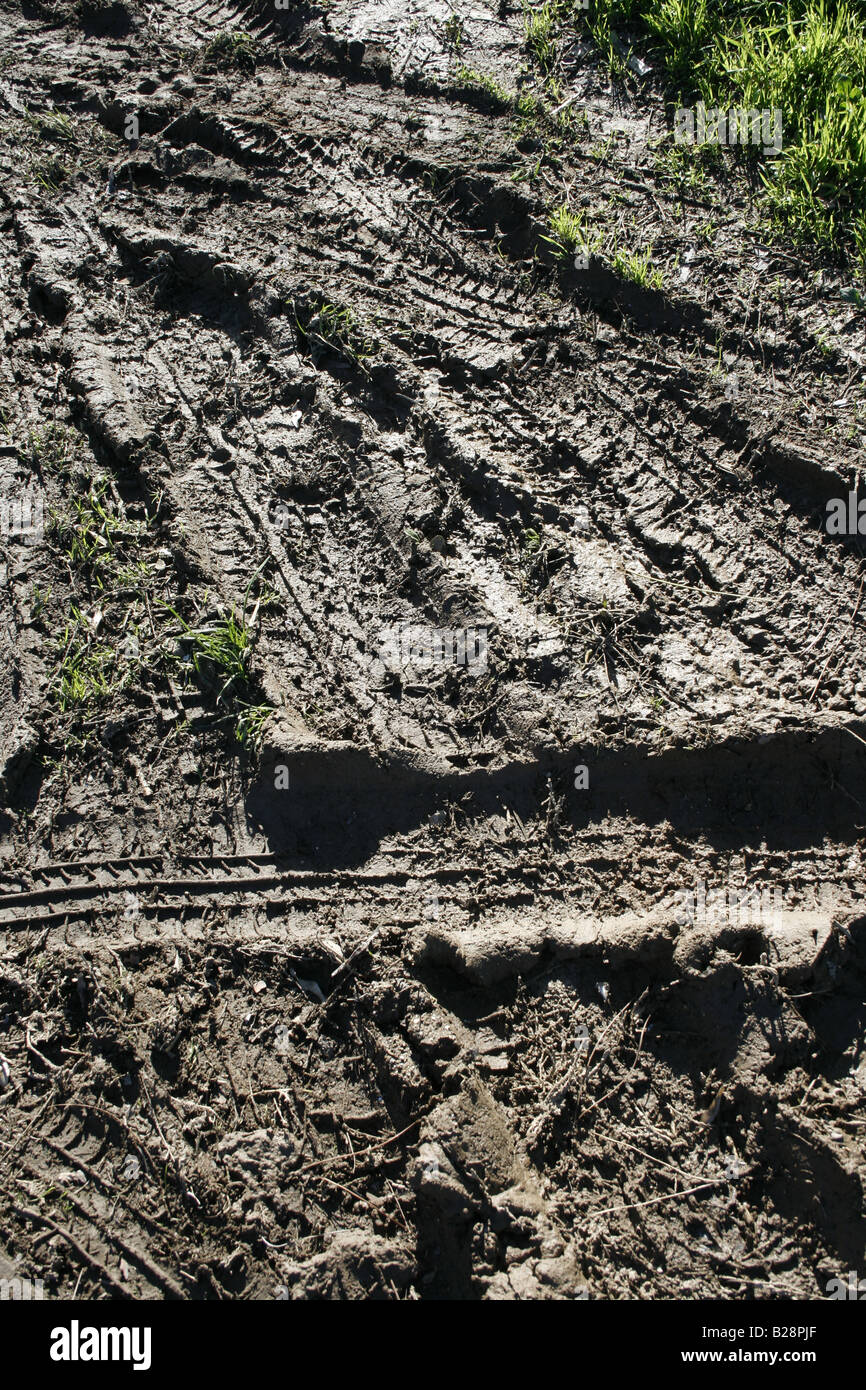 car tyre tracks crossing mud in field in country Stock Photo - Alamy