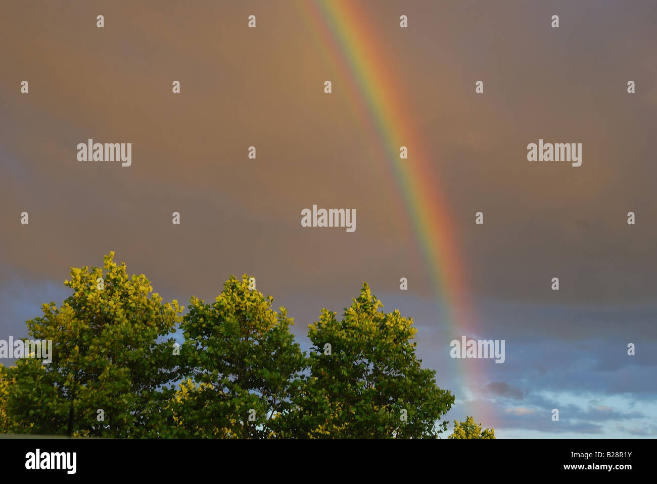 rainbow at sunset Stock Photo - Alamy