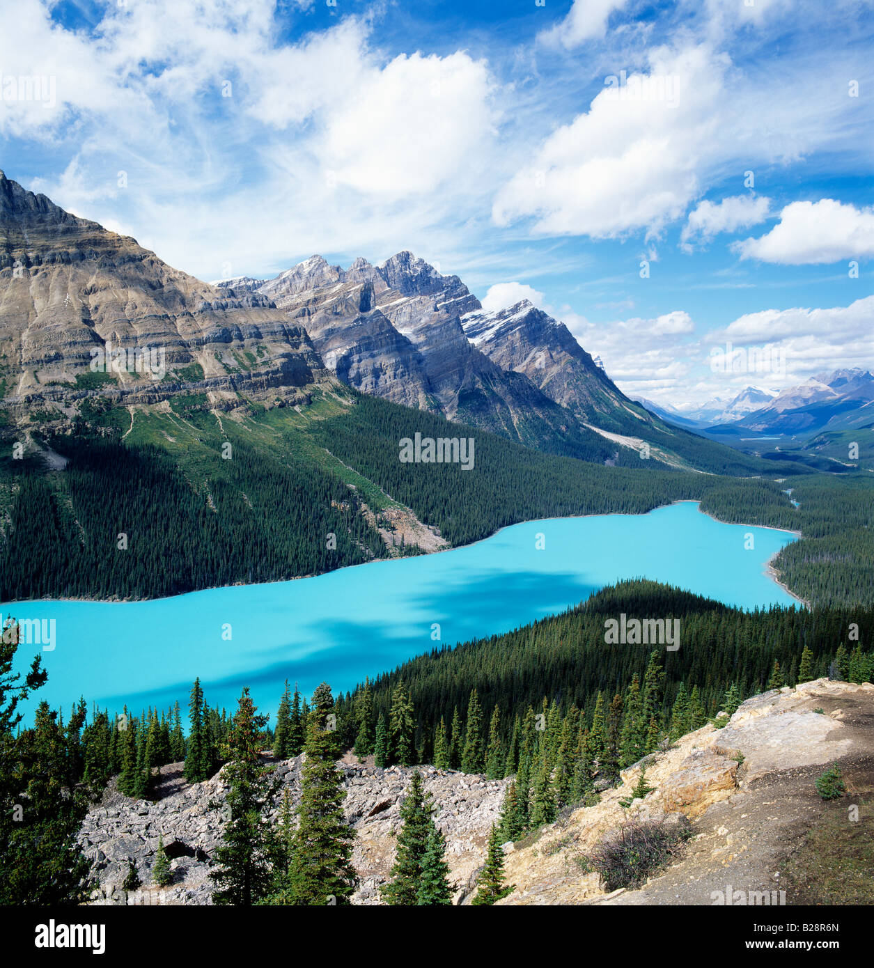 Aquamarine color of glacier fed Peyto Lake, Banff National Park ...